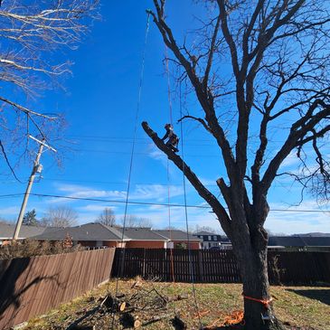 Jd-treeservice.com